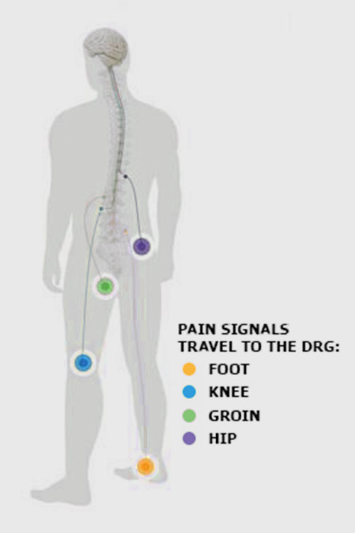 Choose Zero Pain - Spine & Orthopedic Specialists Tulsa